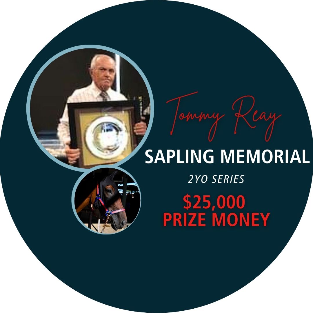 2025 Tommy Reay Sapling Memorial Final » Newcastle Harness Racing Club