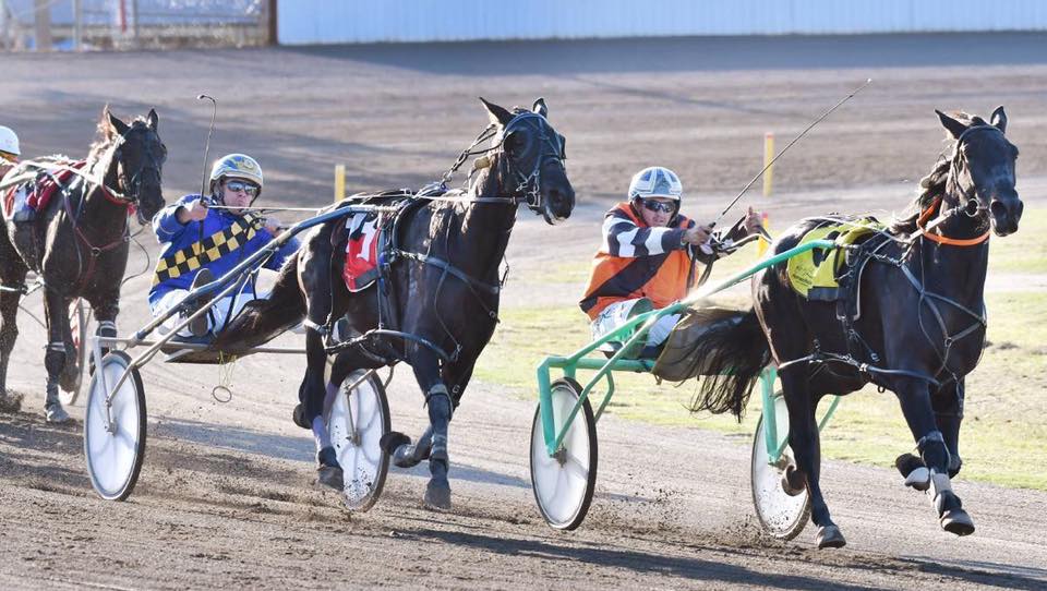 FriYay Day Racing! » Newcastle Harness Racing Club