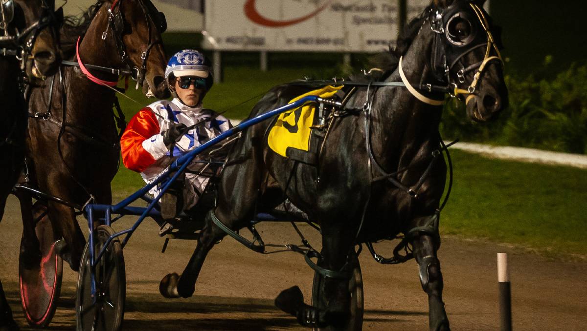 A 'Knight' at the Trots! » Newcastle Harness Racing Club
