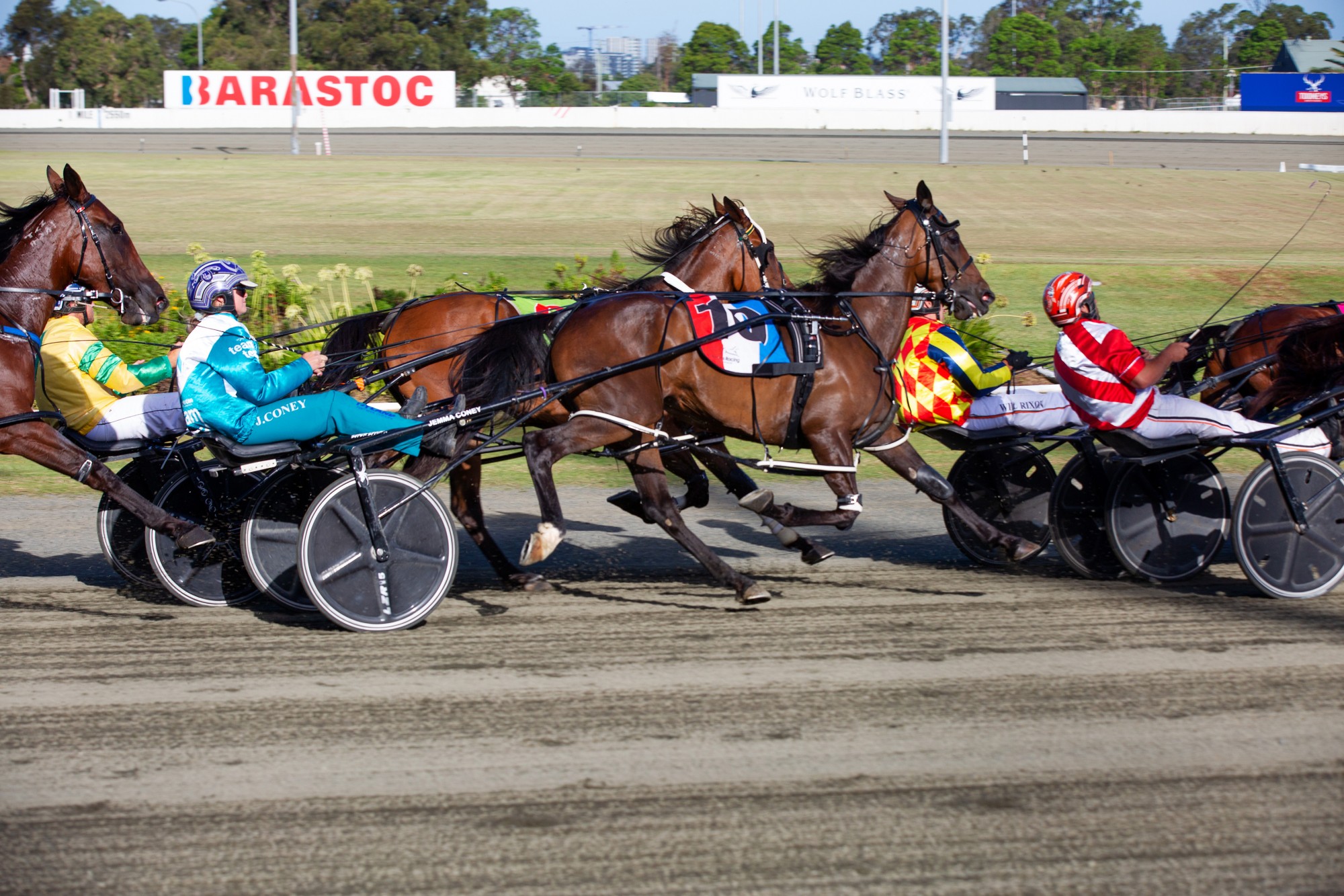 Monday Afternoon Racing » Newcastle Harness Racing Club