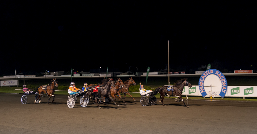 Friday Night Live Racing » Newcastle Harness Racing Club