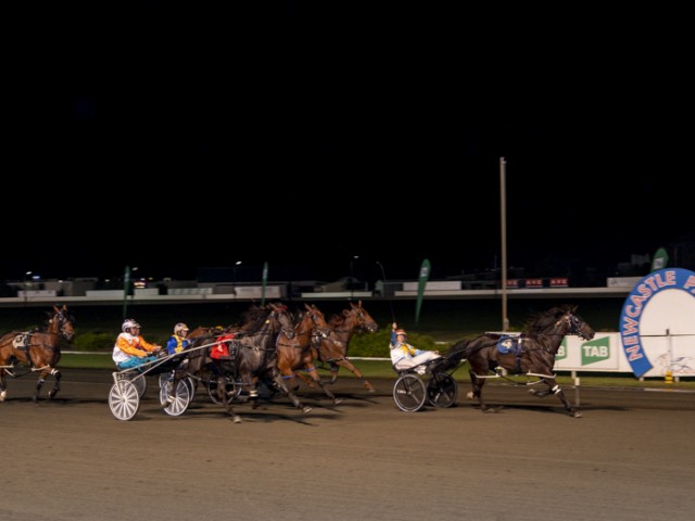 Friday Night Live Racing » Newcastle Harness Racing Club