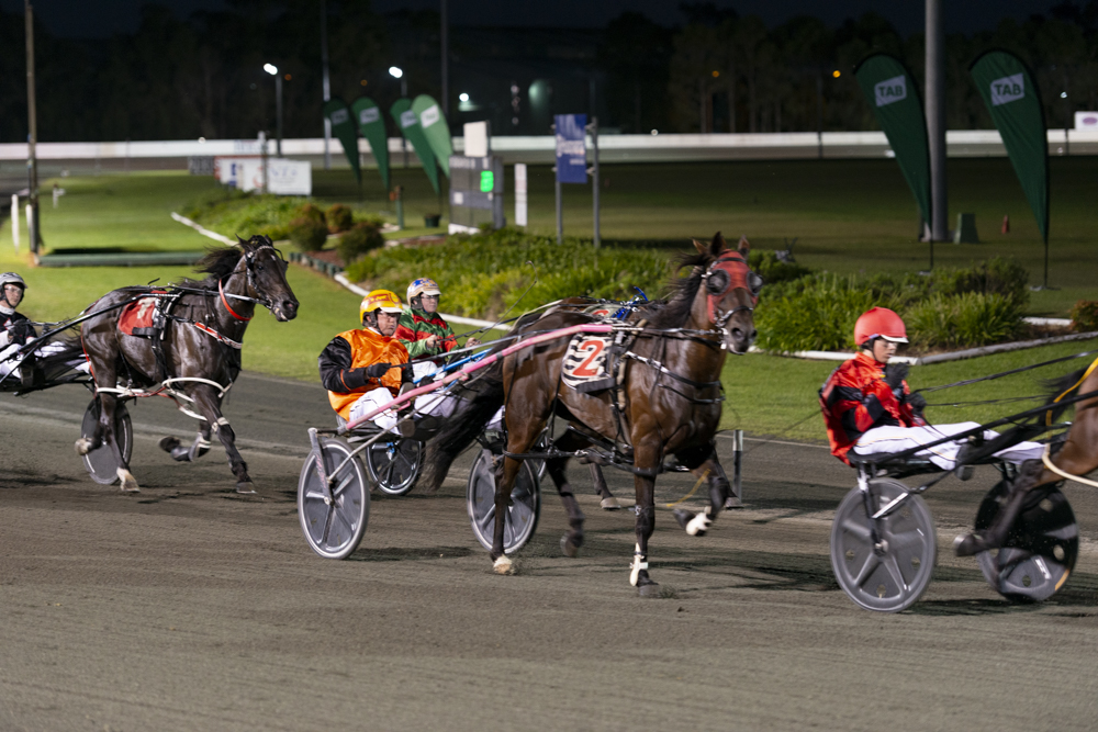 Friday Night Live Racing » Newcastle Harness Racing Club