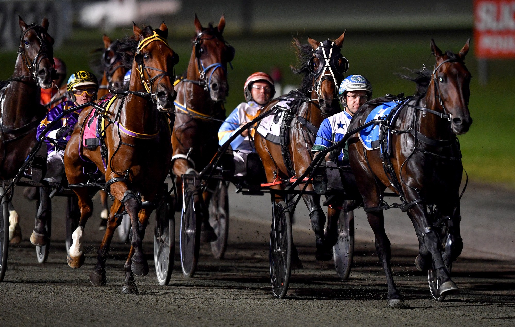 Saturday Night Racing » Newcastle Harness Racing Club