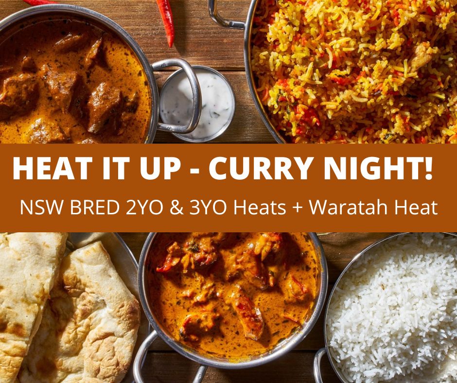 Heat It Up - Curry Night! » Newcastle Harness Racing Club