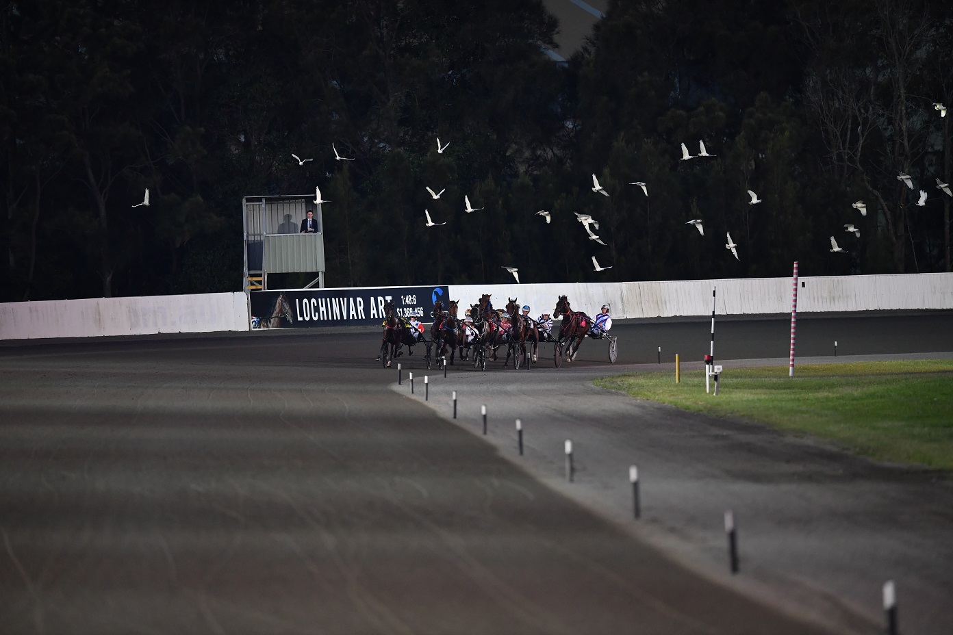 Easter Saturday Night Racing » Newcastle Harness Racing Club
